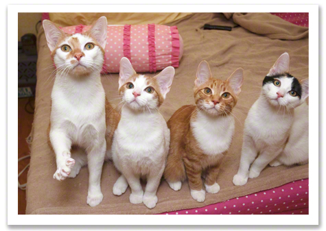 After 15 Months, a Surprise for Barney. Part Two of Two. | Covered in ...